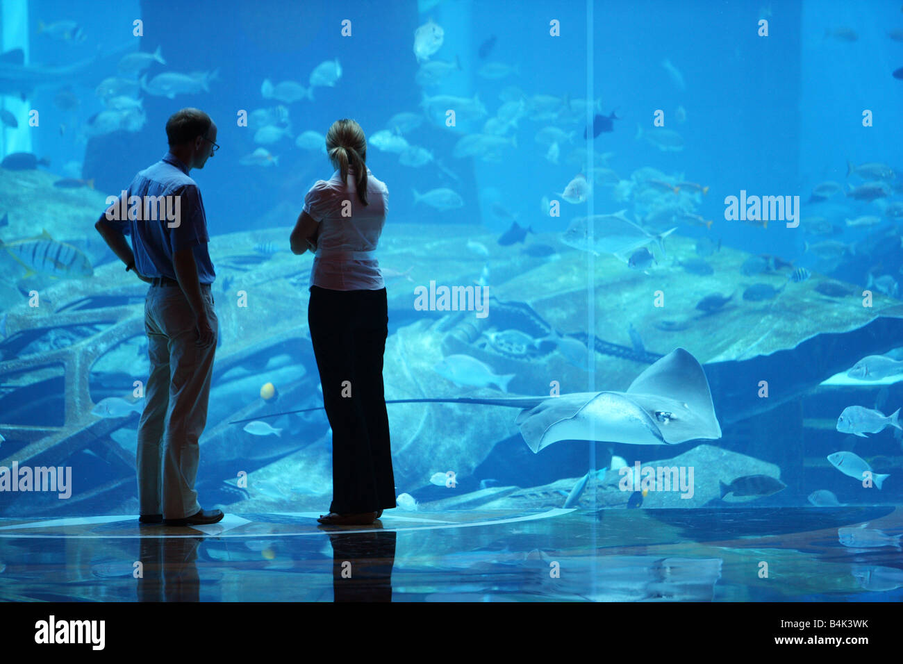 View from East Tower Lobby in the Ambassador Lagoon, 11-Million liter ...