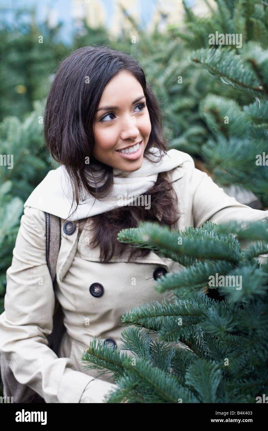 [eastern pine] hi-res stock photography and images - Alamy