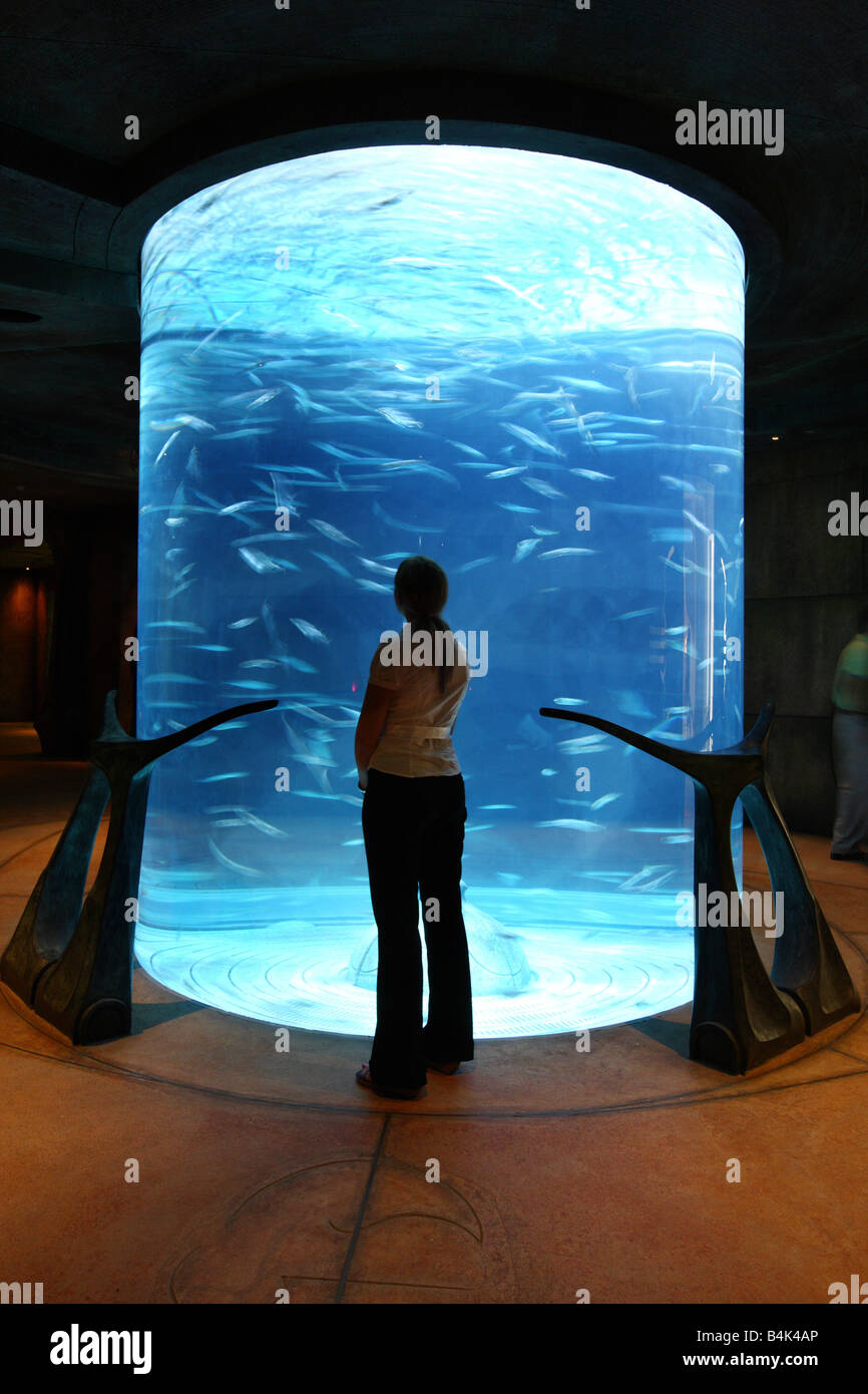 The Lost Chambers, Atlantis Adventure Park. Ambassador Lagoon, 11 ...