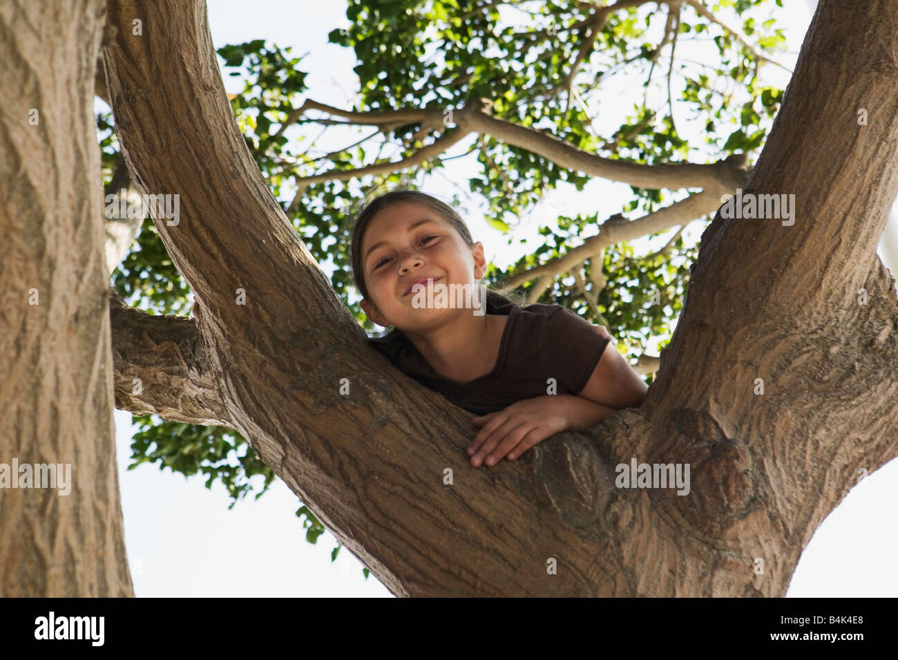 Hispanic girl climbing tree Stock Photo - Alamy