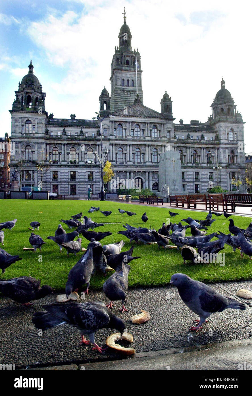 George square glasgow pigeons hi-res stock photography and images - Alamy