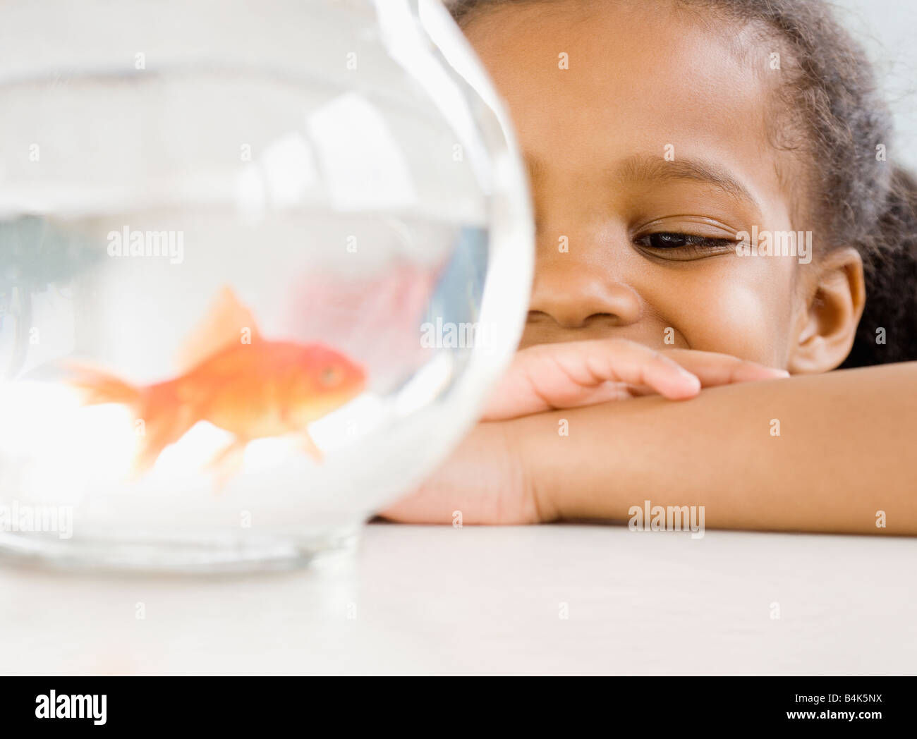 Goldfish Bowl Girl High Resolution Stock Photography and Images - Alamy