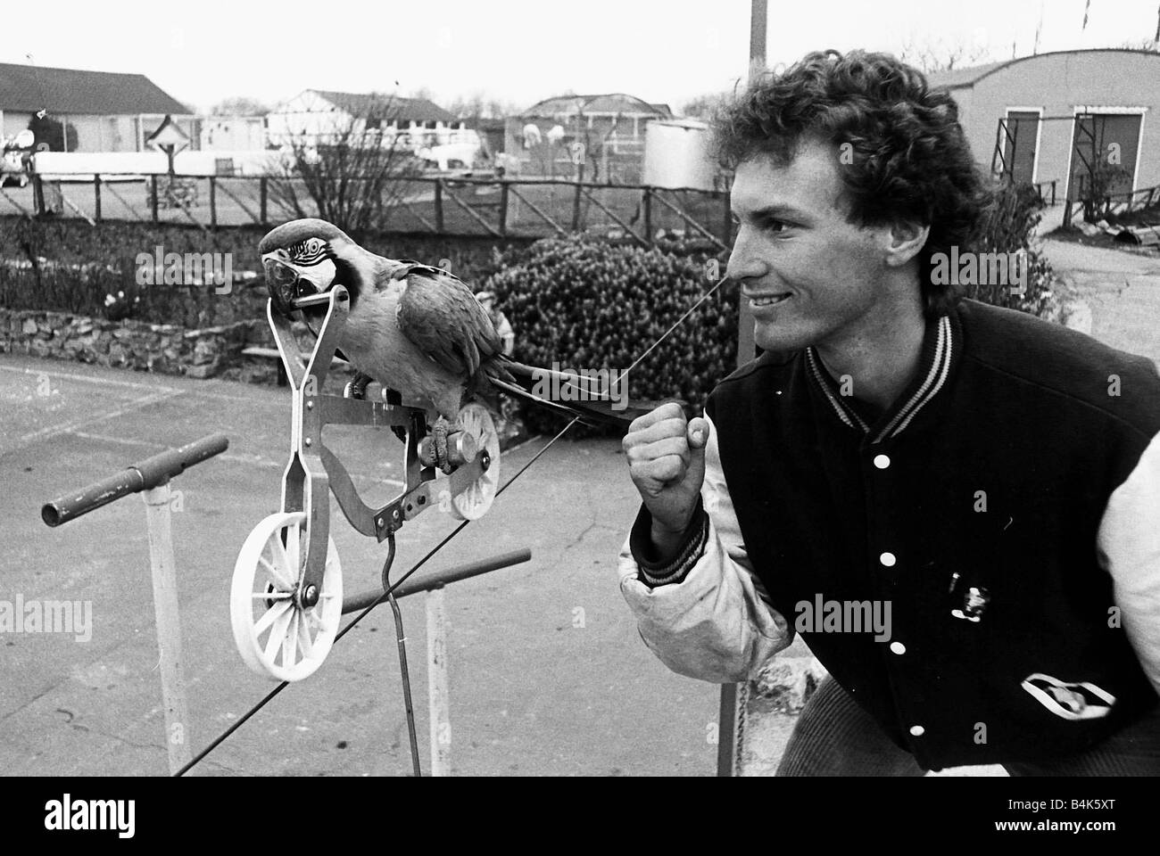 Chiquita the Tightrope Cycling Parrot 1980 Stock Photo - Alamy