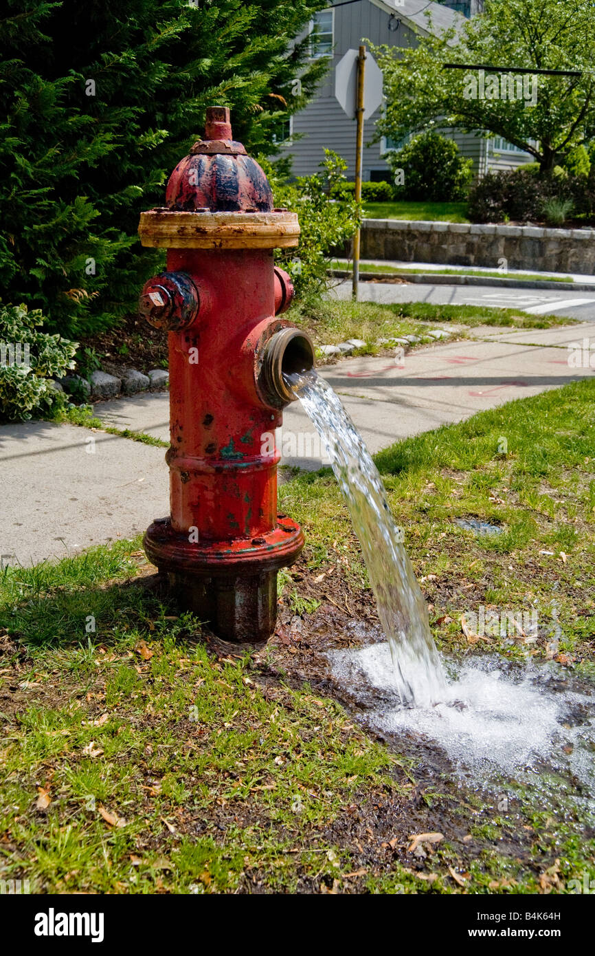 Water pours from a red fire hydrant during spring flush out by the fire ...