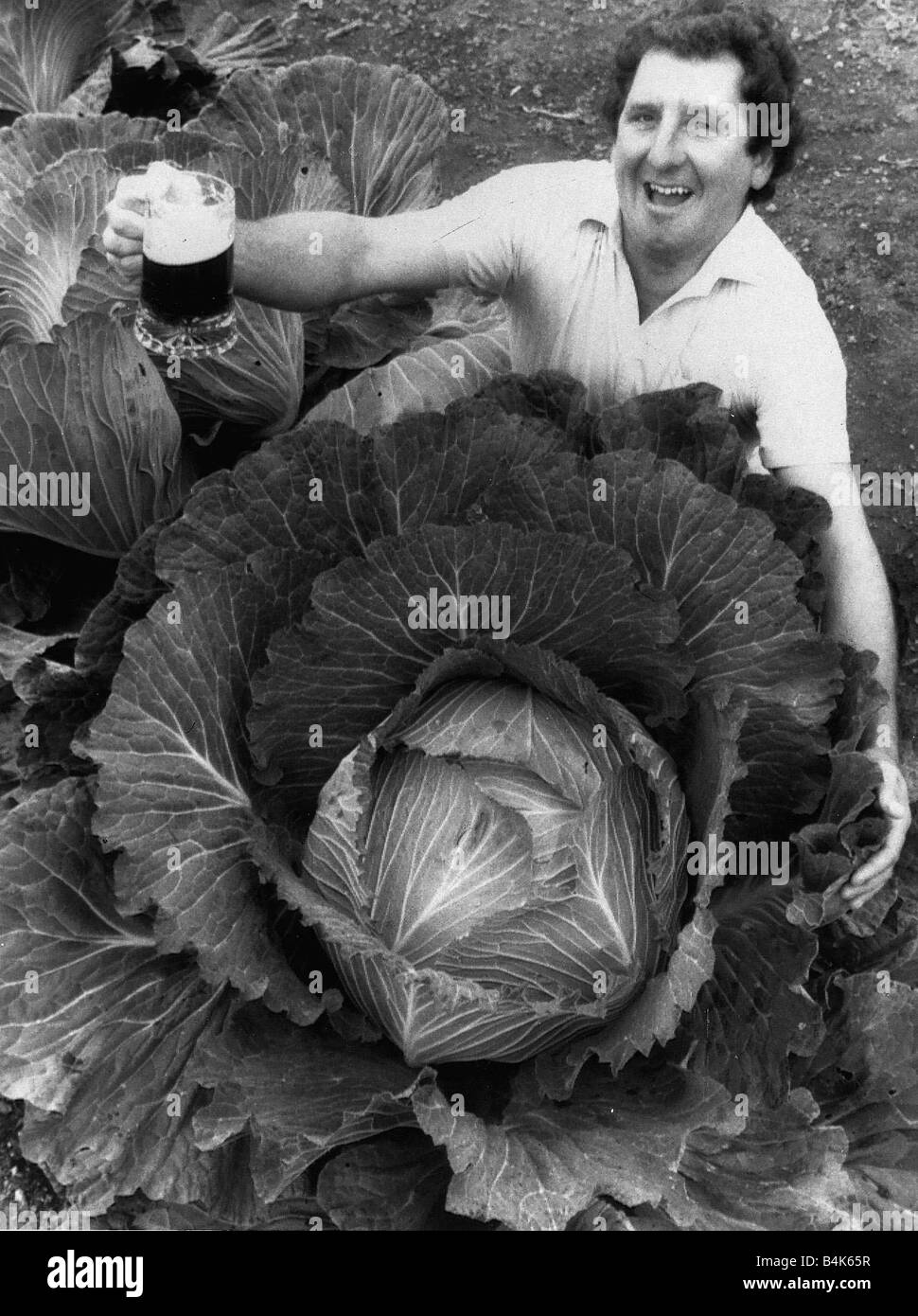 Phil Vowles with a cabbage which he watered with beer 1986 Stock Photo ...
