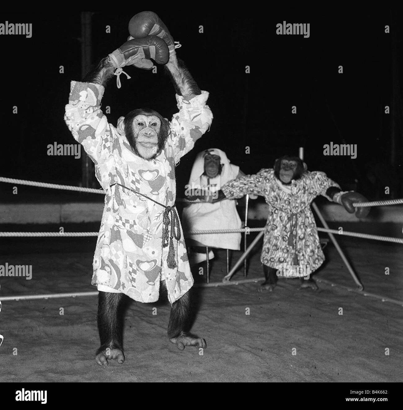 Unusual expressions hi-res stock photography and images - Alamy