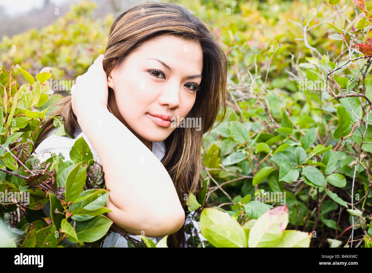 Camera near bushes hi-res stock photography and images - Alamy