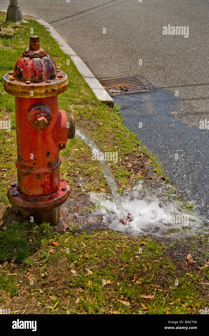 Water pours from a red fire hydrant during spring flush out by the fire ...