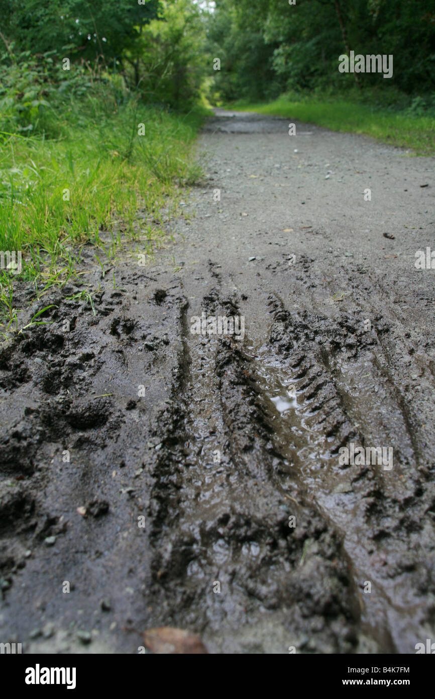 bike wheel tracks in mud on cycle path in country Stock Photo - Alamy
