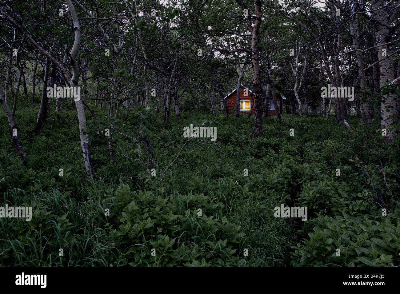 Cabin in forest Stock Photo - Alamy