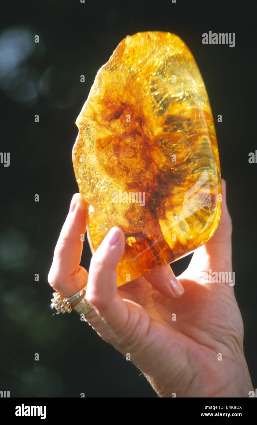 Gum spears hi-res stock photography and images - Alamy