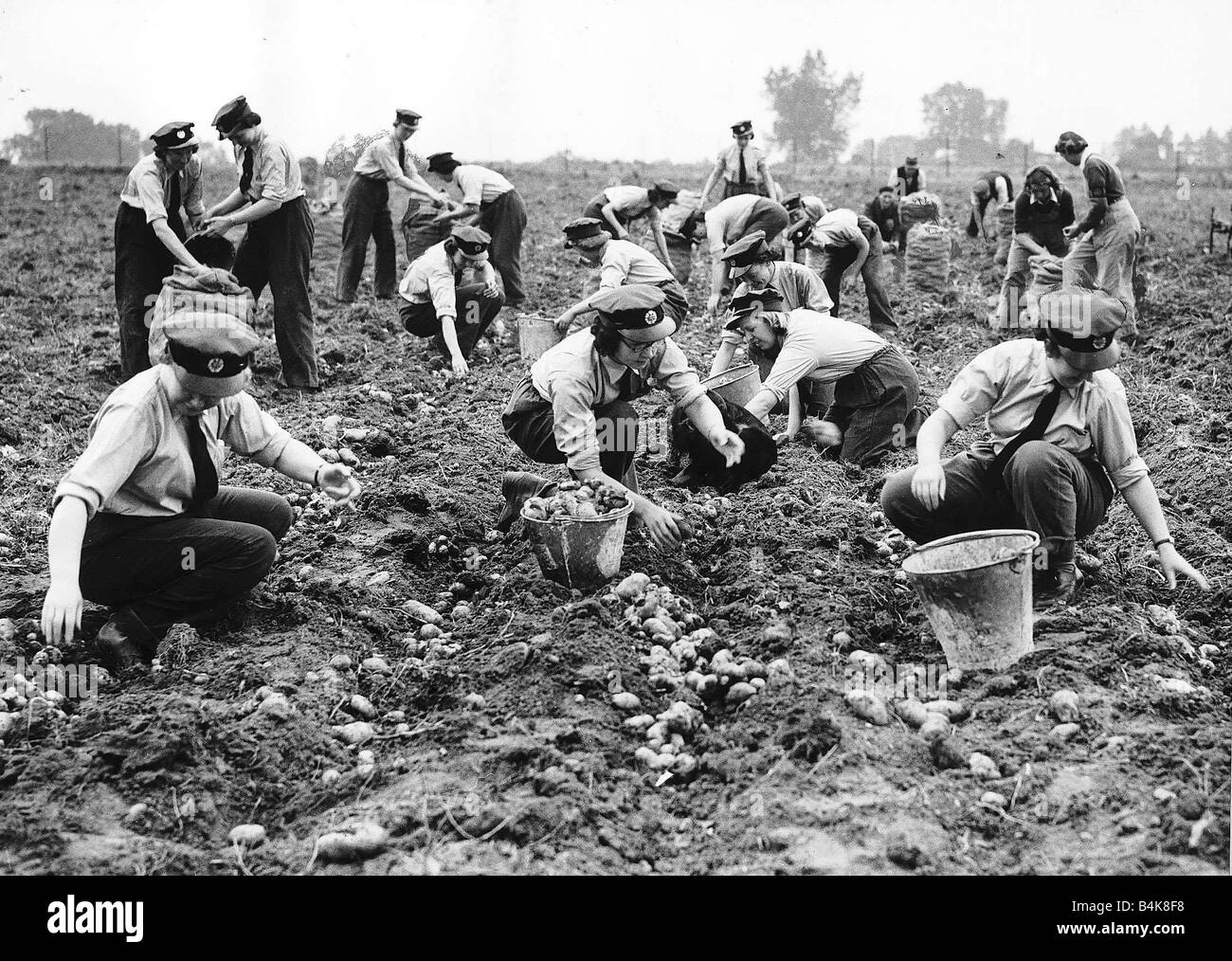 Waafs hi-res stock photography and images - Alamy