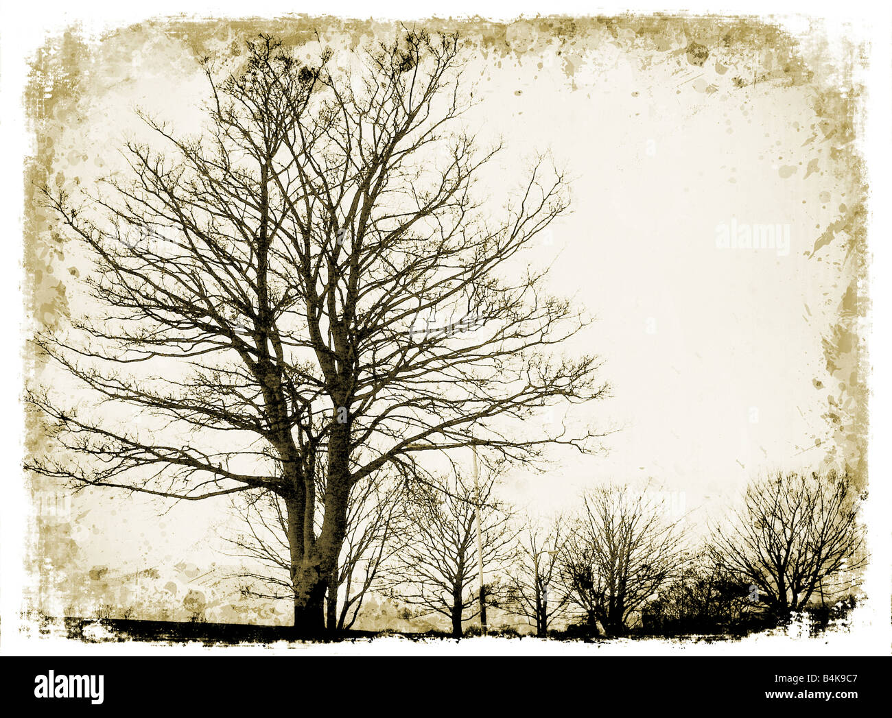 Grunge trees on grunge background Stock Photo - Alamy