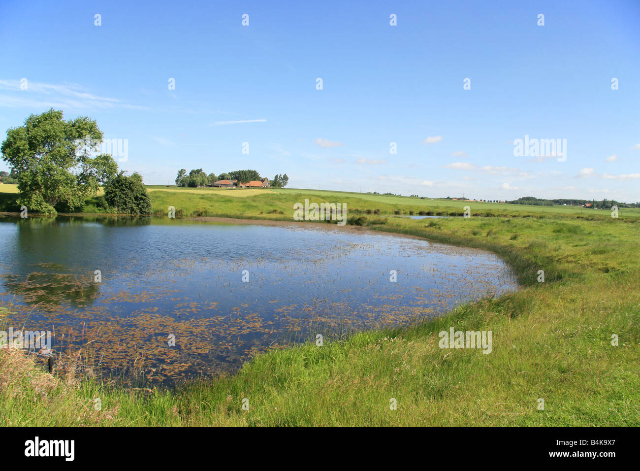 Messines crater hi-res stock photography and images - Alamy