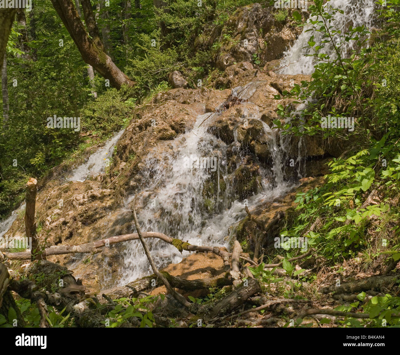 Landslide forest hi-res stock photography and images - Alamy
