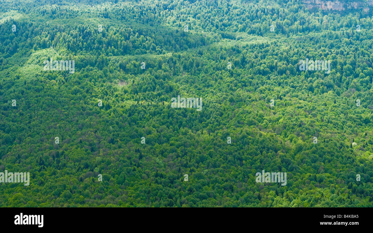 Green forest on the hill Stock Photo - Alamy