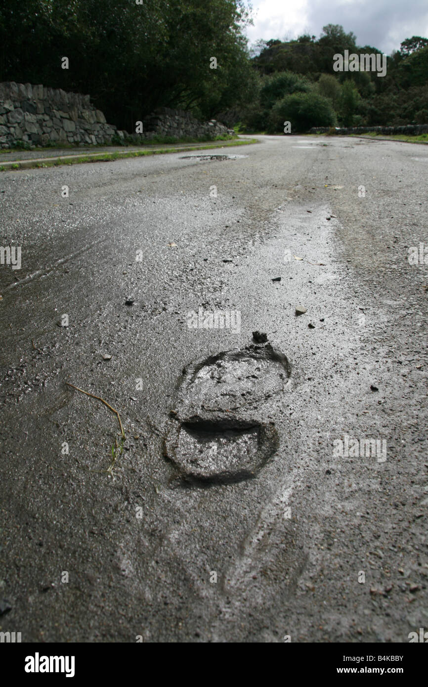 one footprint in mud on rural foot path in country Stock Photo - Alamy