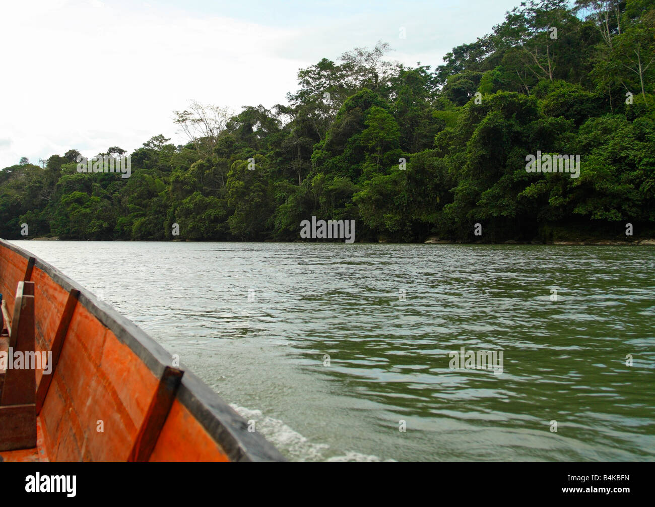 On the Rio Napo (tributary of the Amazon), Amazon basin, Oriente ...