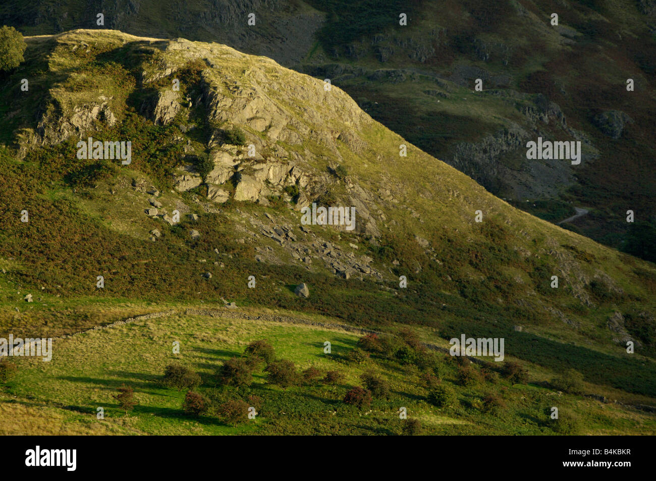 General Lake District view of hillside in golden autumn sunshine, taken ...