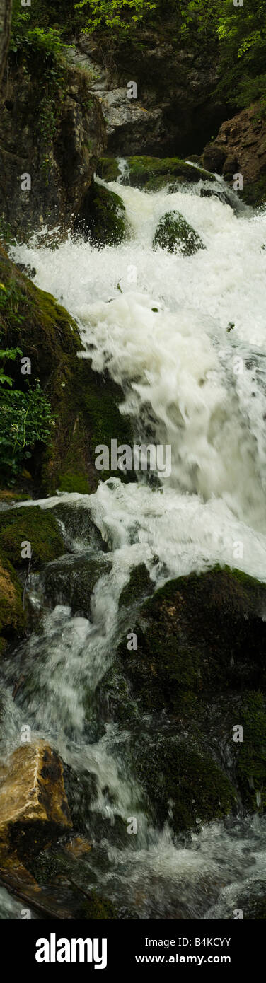 A forest waterfall Stock Photo - Alamy
