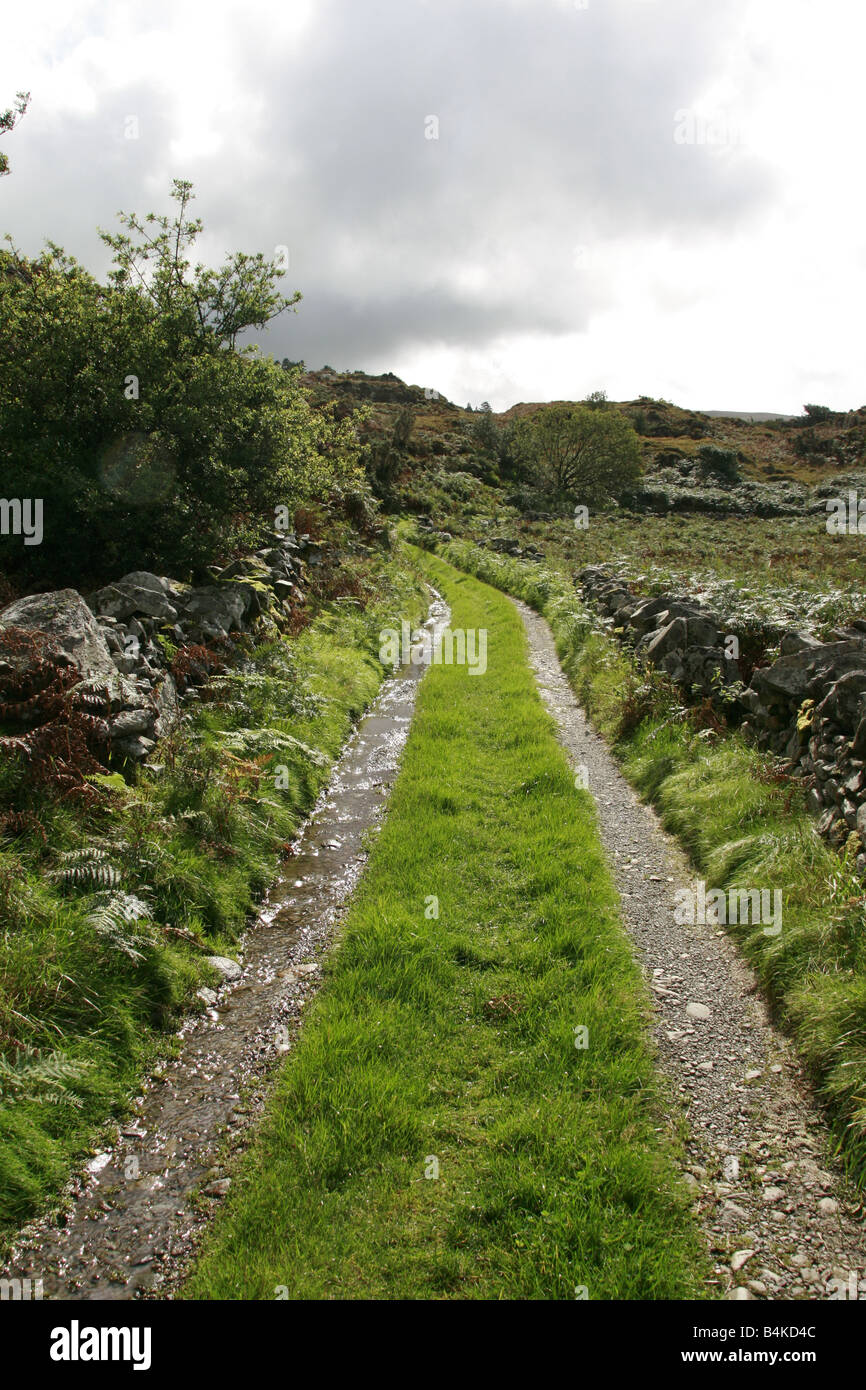 country lane track path and field in rural Wales Stock Photo - Alamy