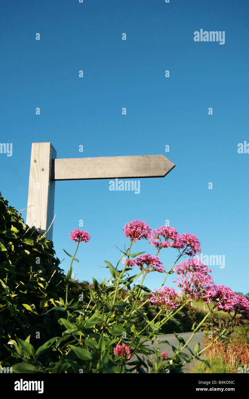 sign post in countryside Stock Photo - Alamy
