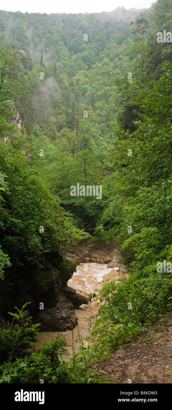 Nature ravine hi-res stock photography and images - Alamy