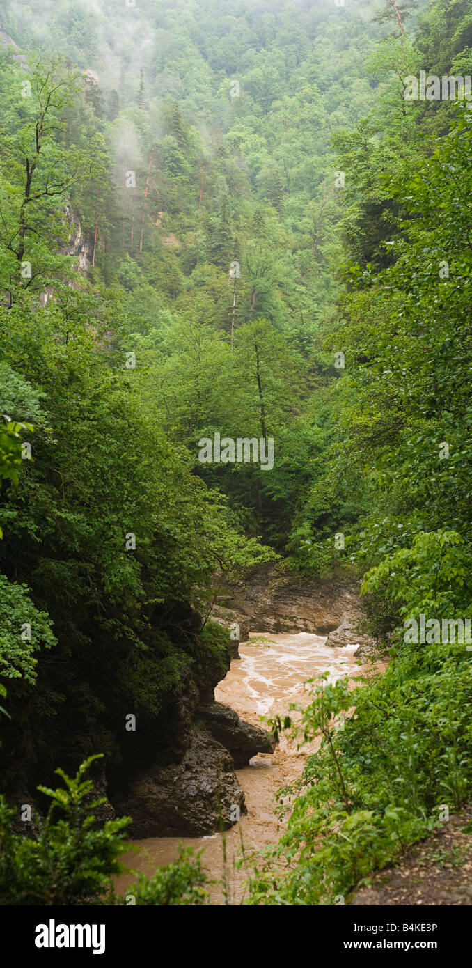 Ravine gorge hi-res stock photography and images - Alamy