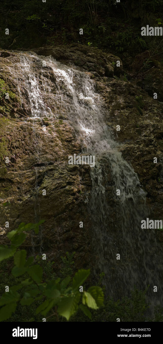 Waterfall forest woods hi-res stock photography and images - Alamy