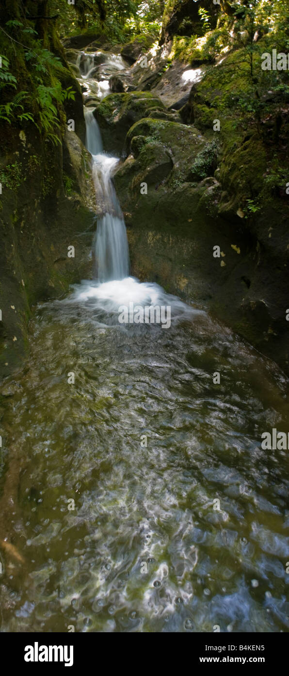 A natural water basin in the forest Stock Photo - Alamy