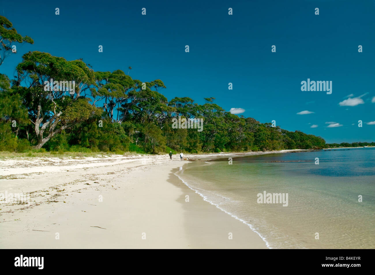 Jervis bay new south wales hi-res stock photography and images - Alamy