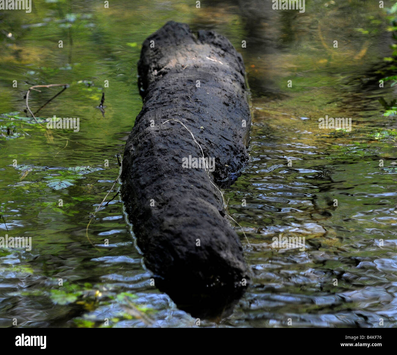Belhus essex hi-res stock photography and images - Alamy