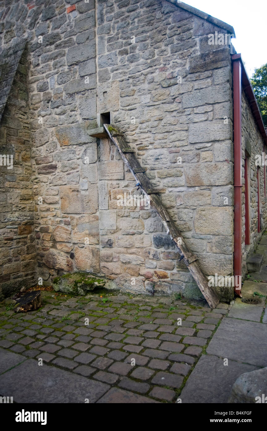 An unusual hen coup half way up a house wall Stock Photo - Alamy