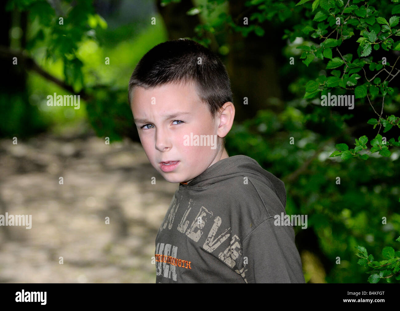 Belhus country park, Essex, UK Stock Photo - Alamy
