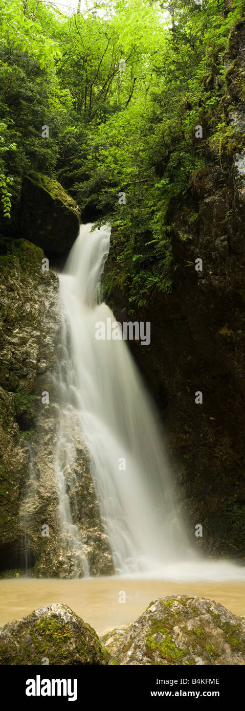A forest waterfall Stock Photo - Alamy