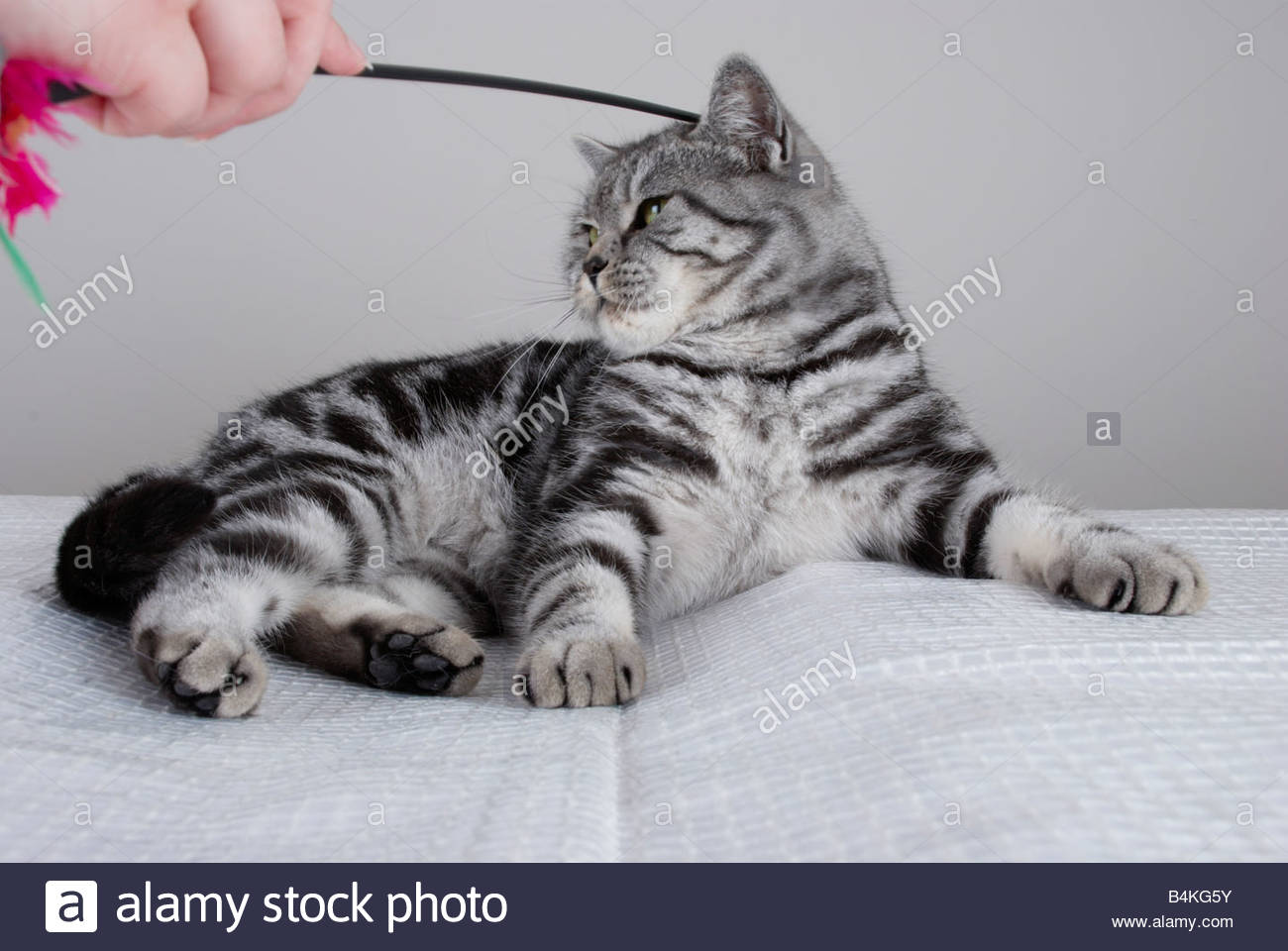 Being Tickled Stock Photos & Being Tickled Stock Images - Alamy