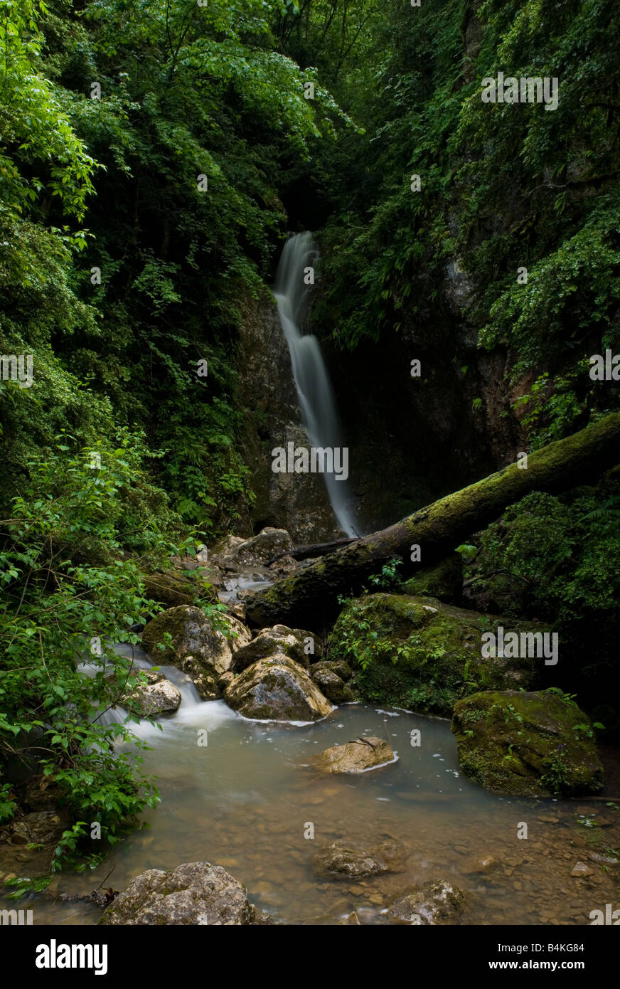 A forest waterfall Stock Photo - Alamy