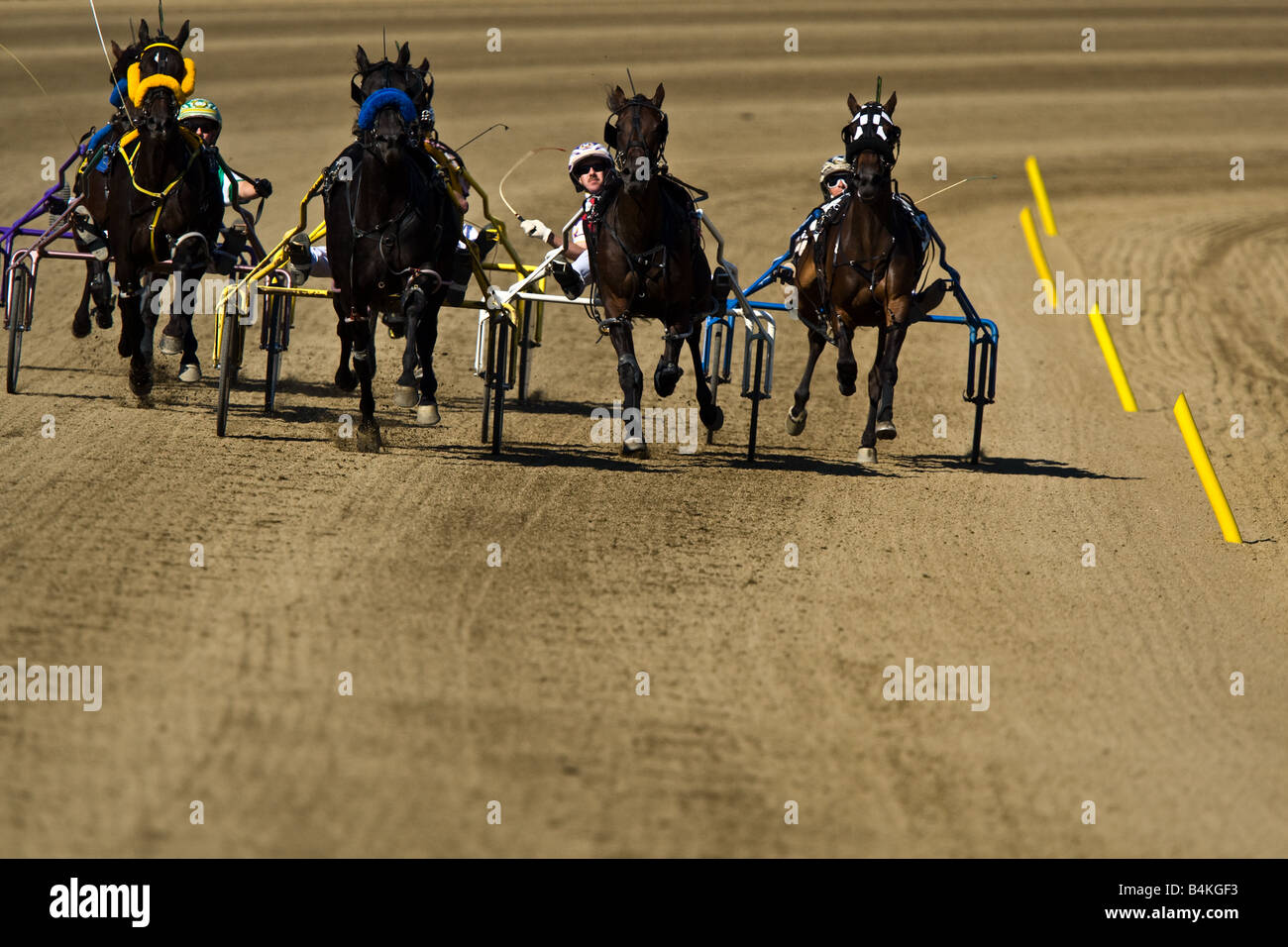 Harness racing usa hi-res stock photography and images - Alamy