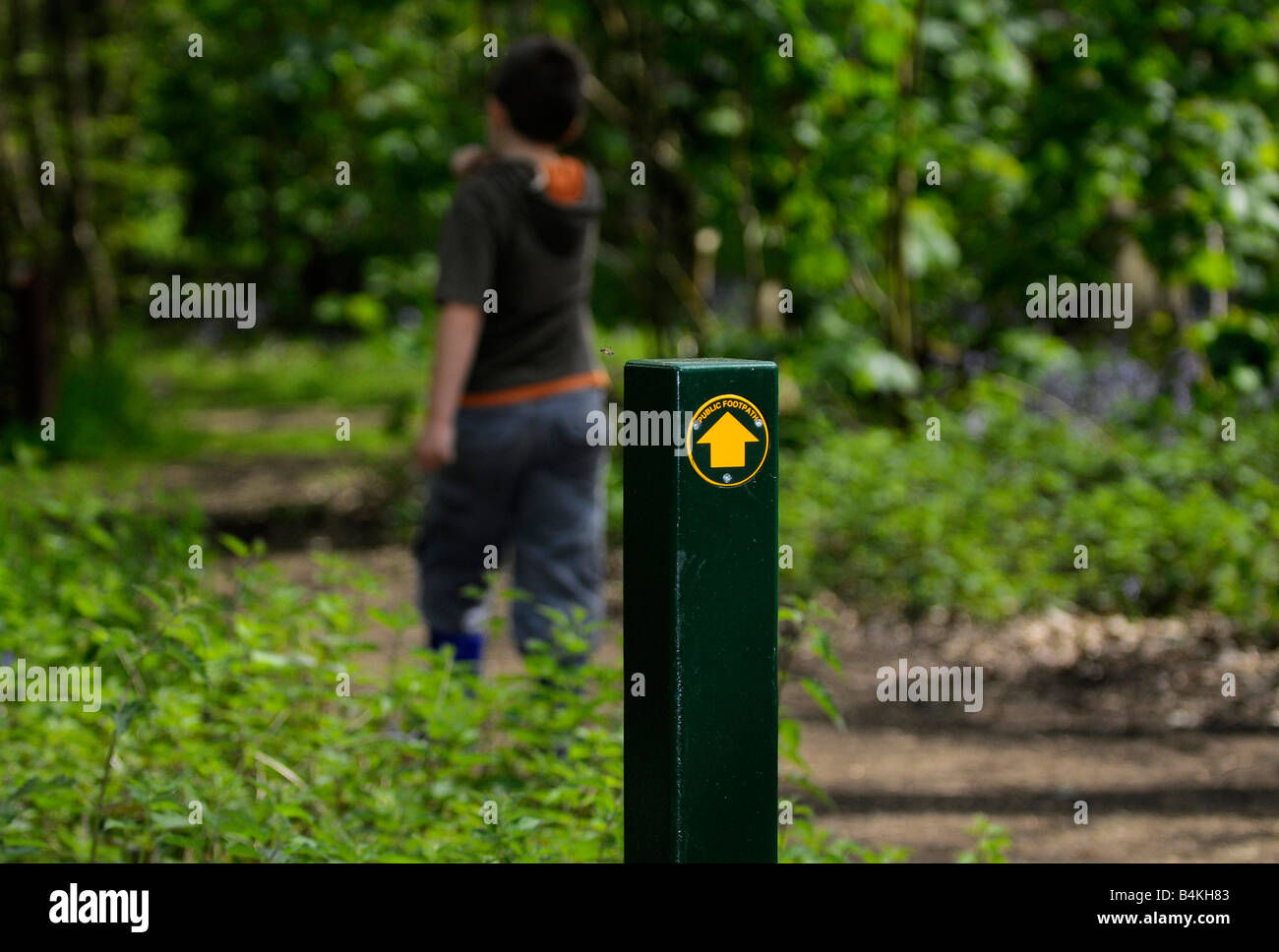 Signpost for a forest path with a boy walikng in the background Stock ...