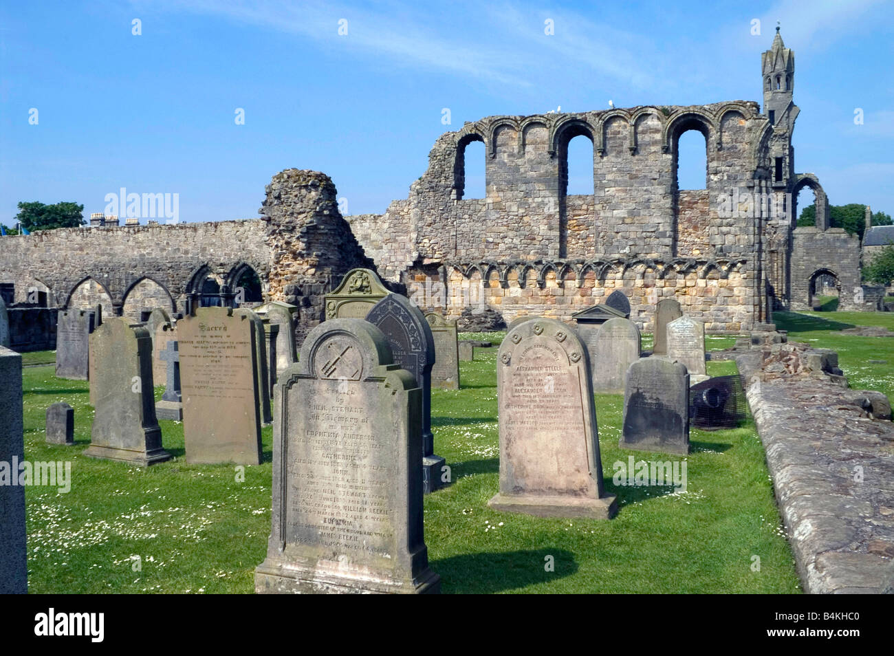 St Andrews Cathedral and graveyard Stock Photo - Alamy