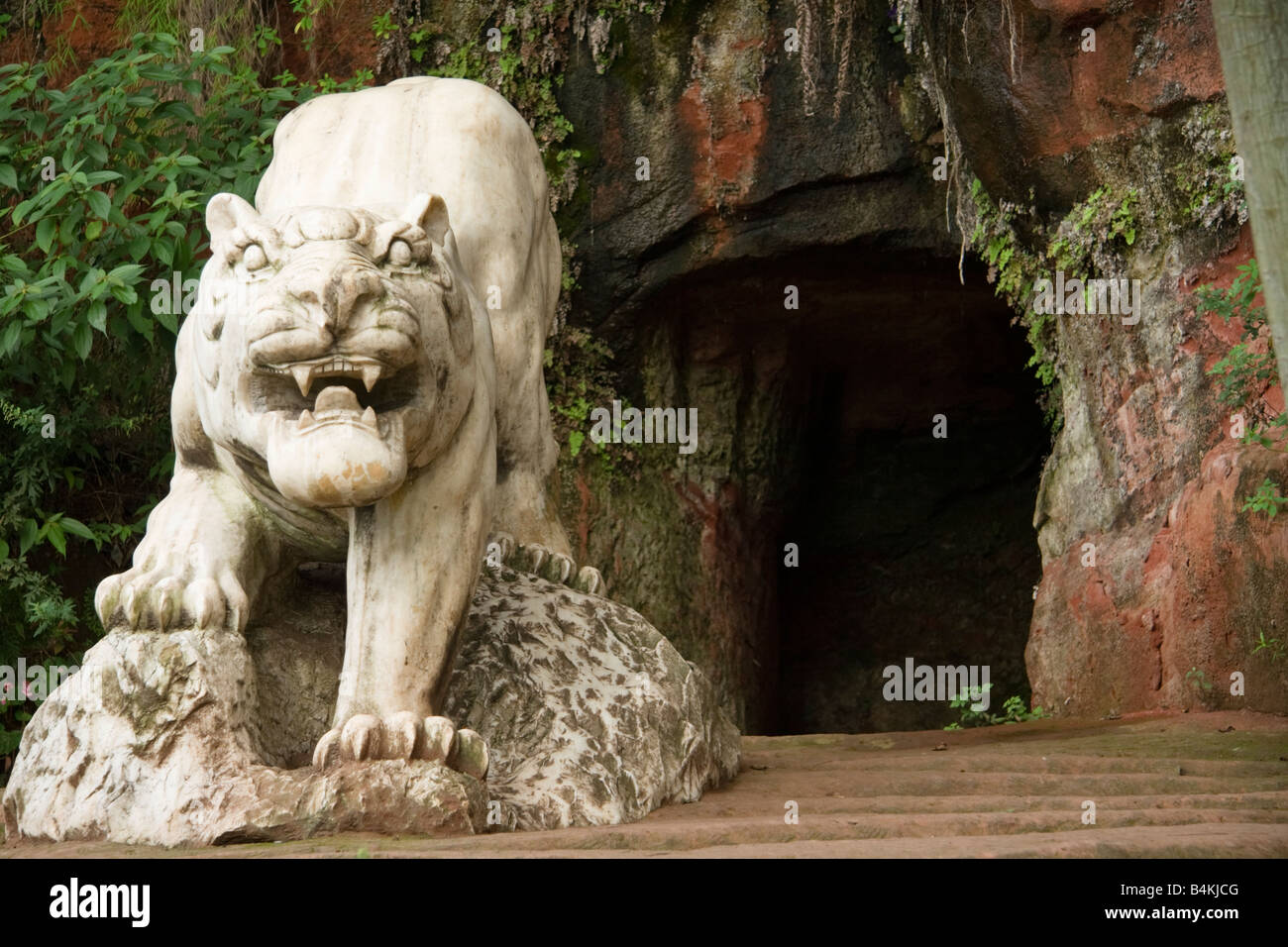 Tiger in cave hi-res stock photography and images - Alamy
