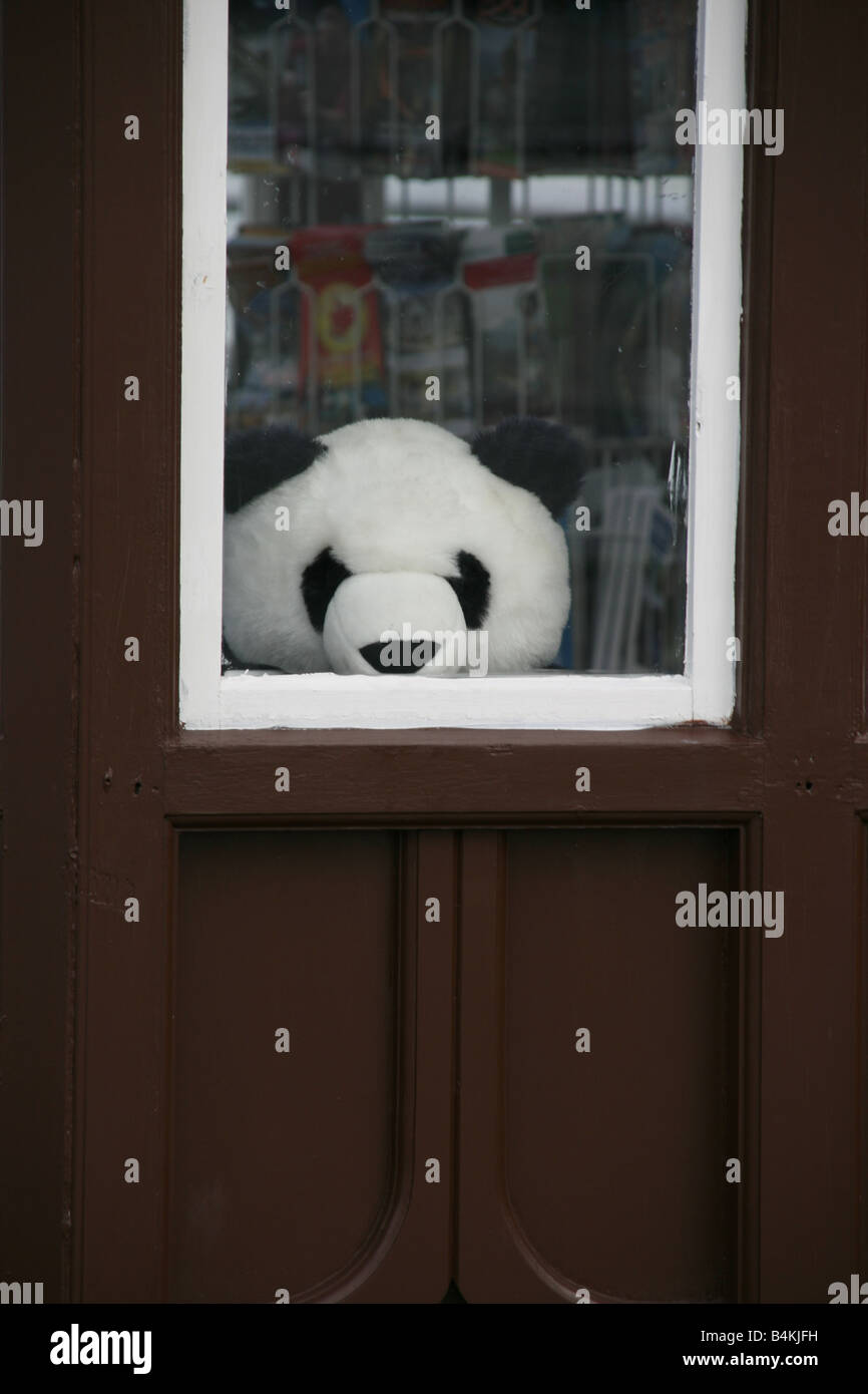 toy panda bear in property window Stock Photo - Alamy