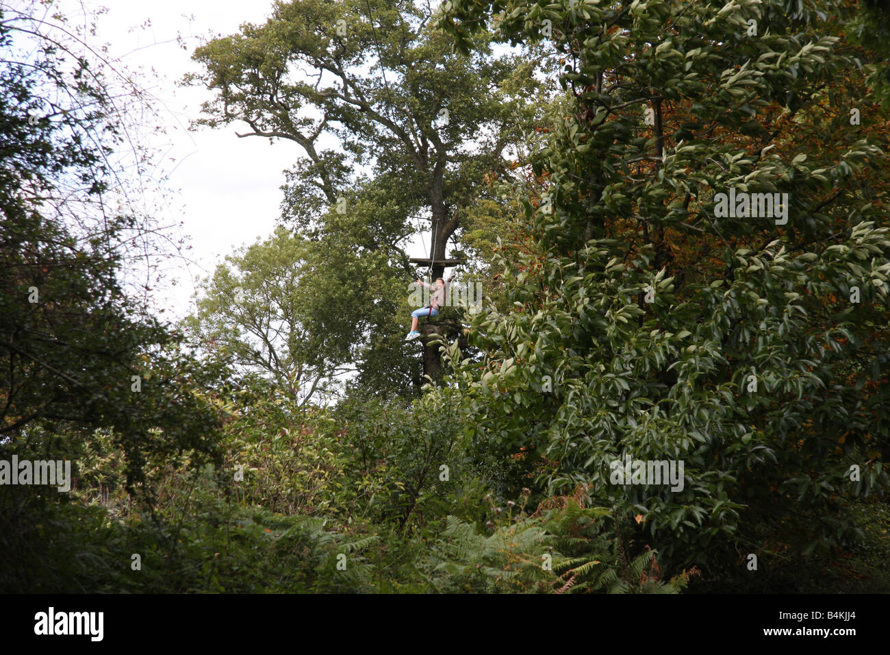Girl on a zip wire Stock Photo - Alamy