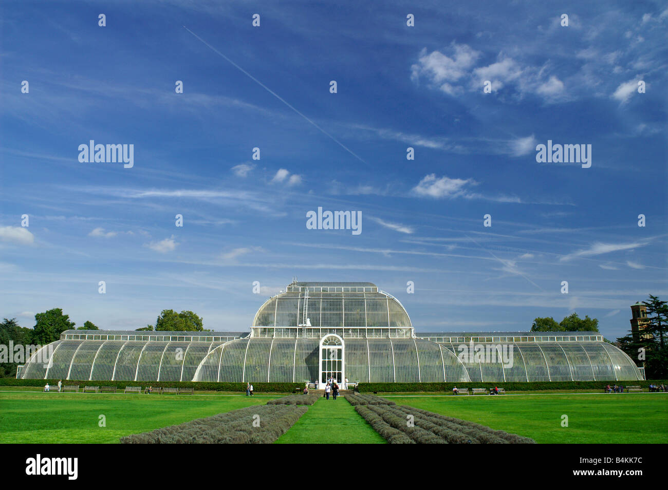 Palm House in Kew gardens Stock Photo - Alamy