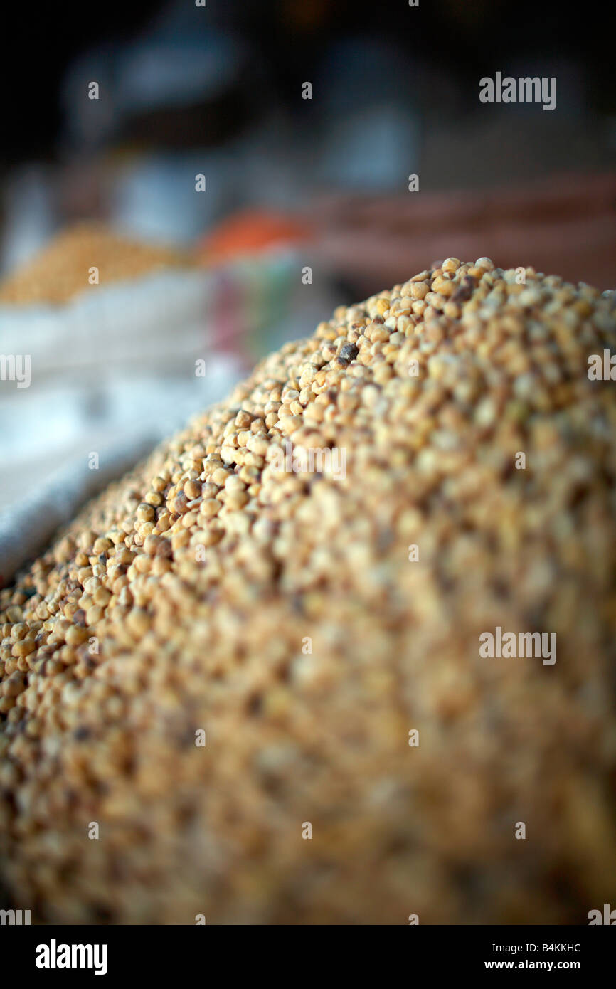 Lentil lentils hi-res stock photography and images - Alamy