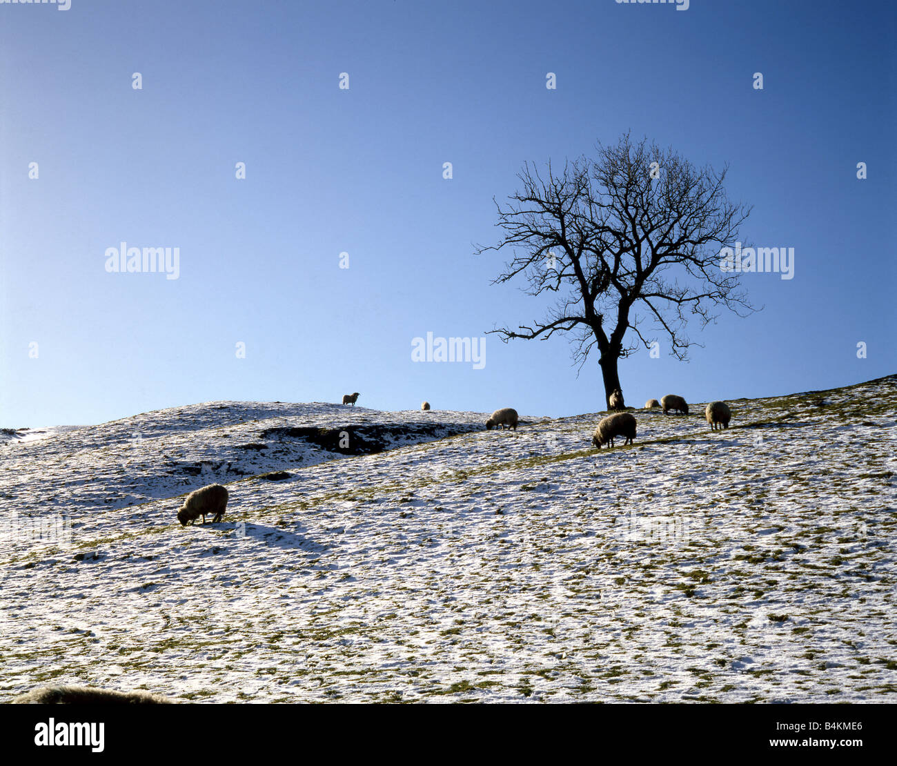 Upper wharfedale winter snow yorkshire hi-res stock photography and ...