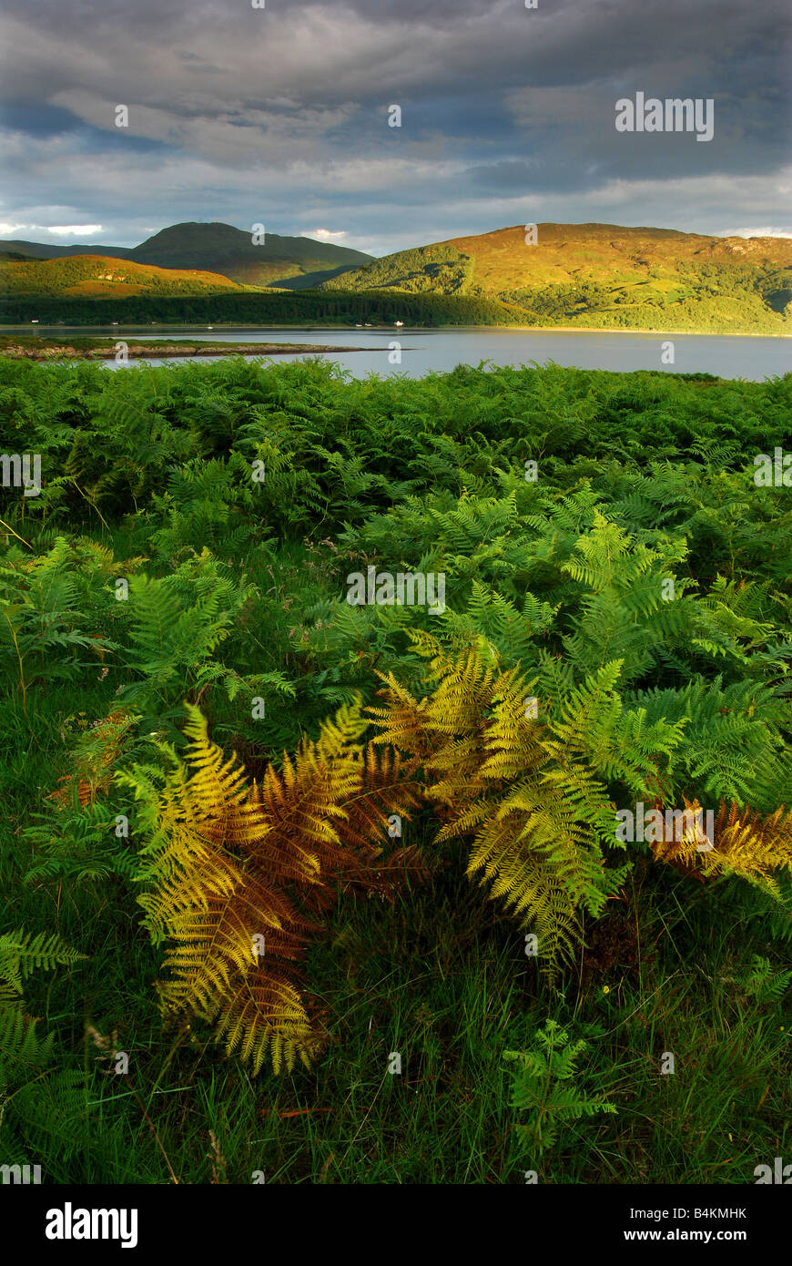 Cuil Bay, Duror of Appin, Argyll, Scotland, UK Stock Photo - Alamy