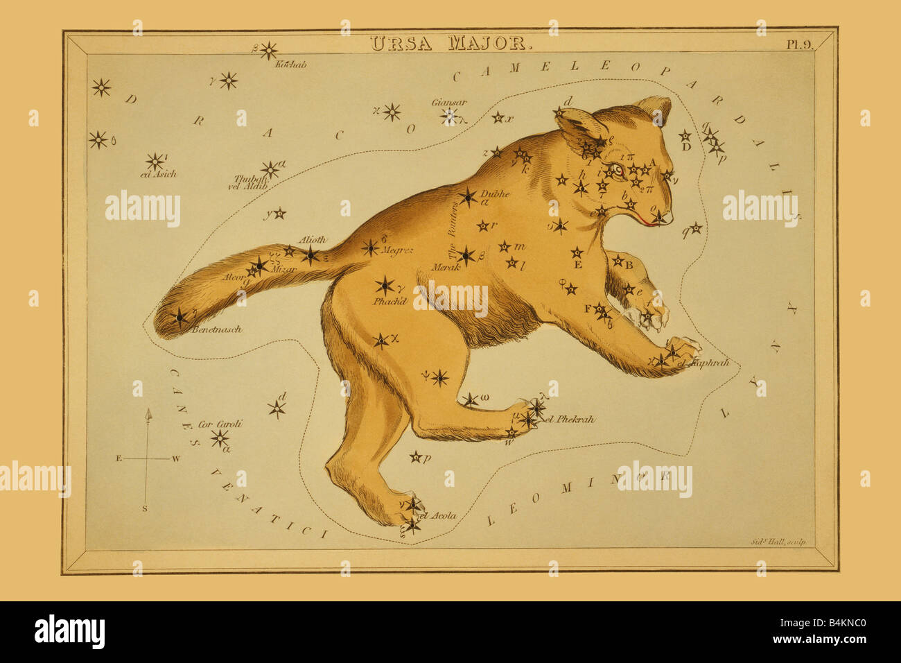 Ursa major constellation hi-res stock photography and images - Alamy
