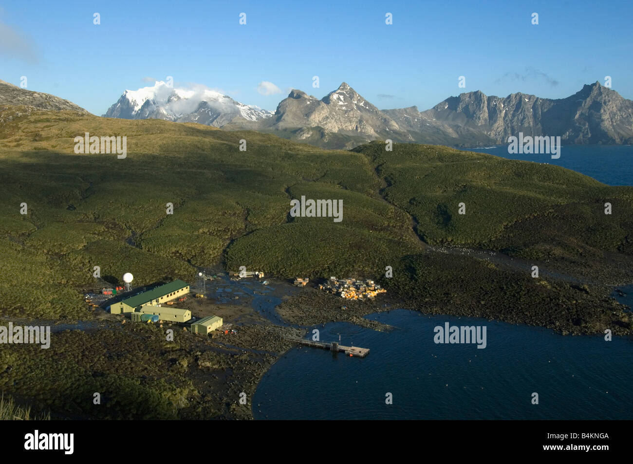 South Georgia Island, Bird Island BAS Research Base, British Antarctic ...