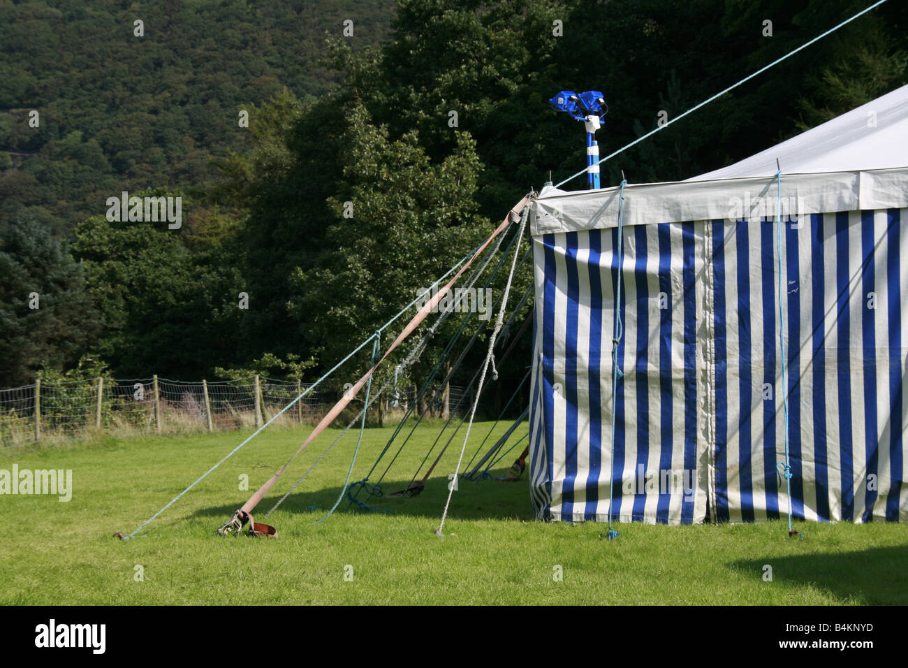 detail marquee tent pegs in field in countryside Stock Photo - Alamy